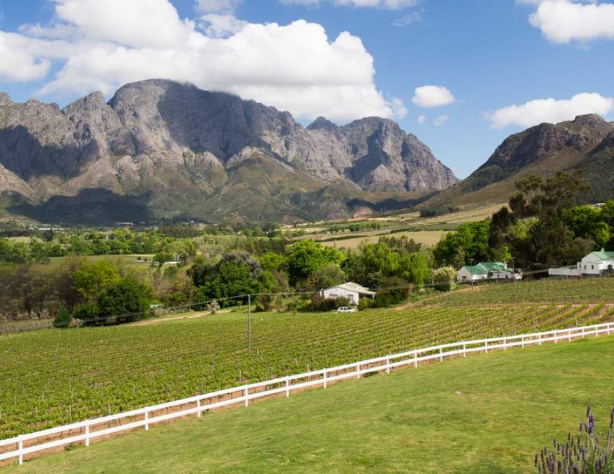 Mont Rochelle | WineMaps