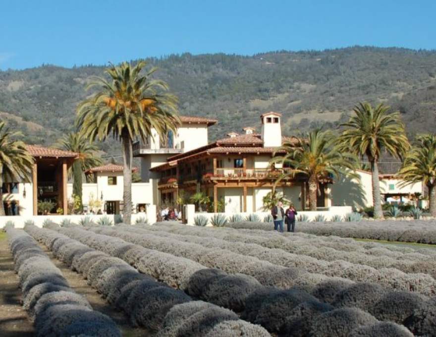 Ceago Vinegarden | WineMaps