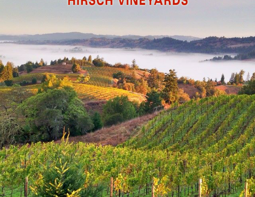 Hirsch Vineyards and Winery | WineMaps