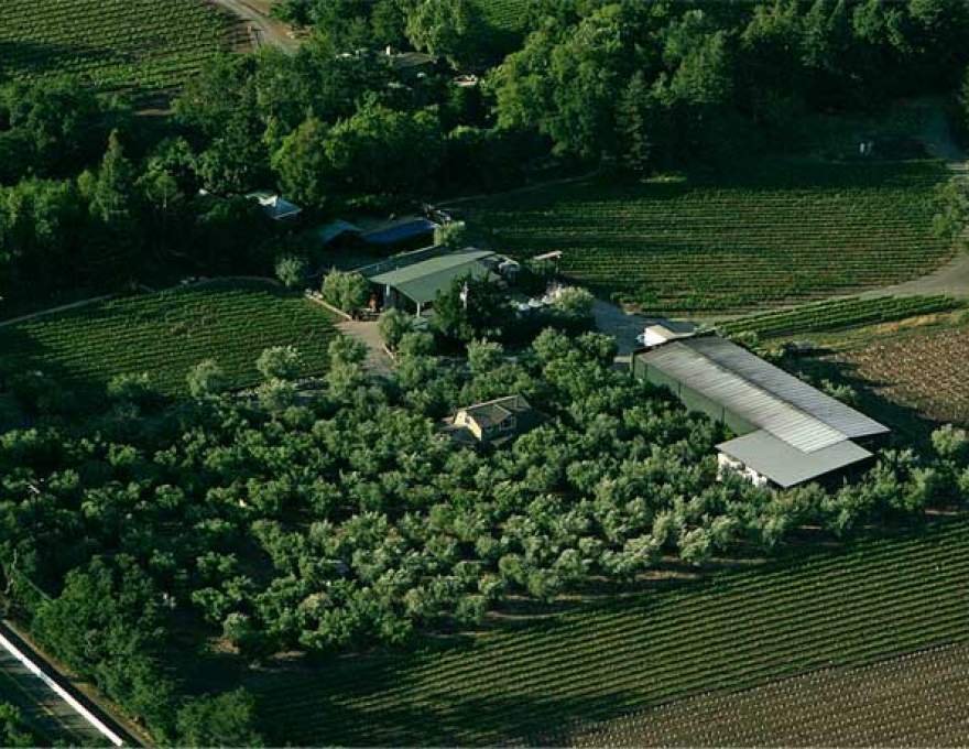 Turley Wine Cellars | WineMaps