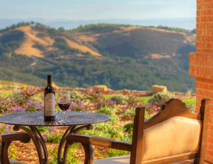 Daou Vineyards | WineMaps