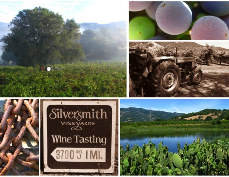 Silversmith Vineyards | WineMaps