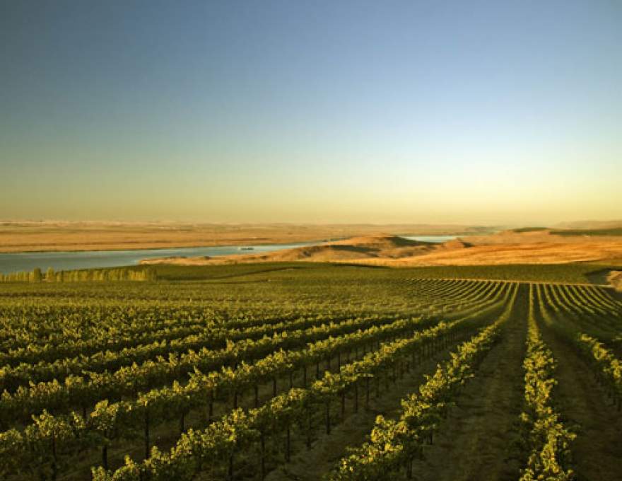 Ste. Michelle Wine Estates | WineMaps Ste. Michelle Wine Estates | WineMaps