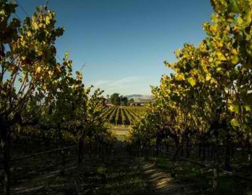 Ruby Hill Winery | WineMaps