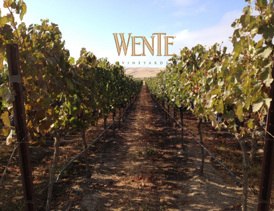 Wente Estate Winery and Tasting Room | WineMaps