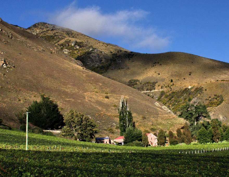 Chard Farm Winery | WineMaps