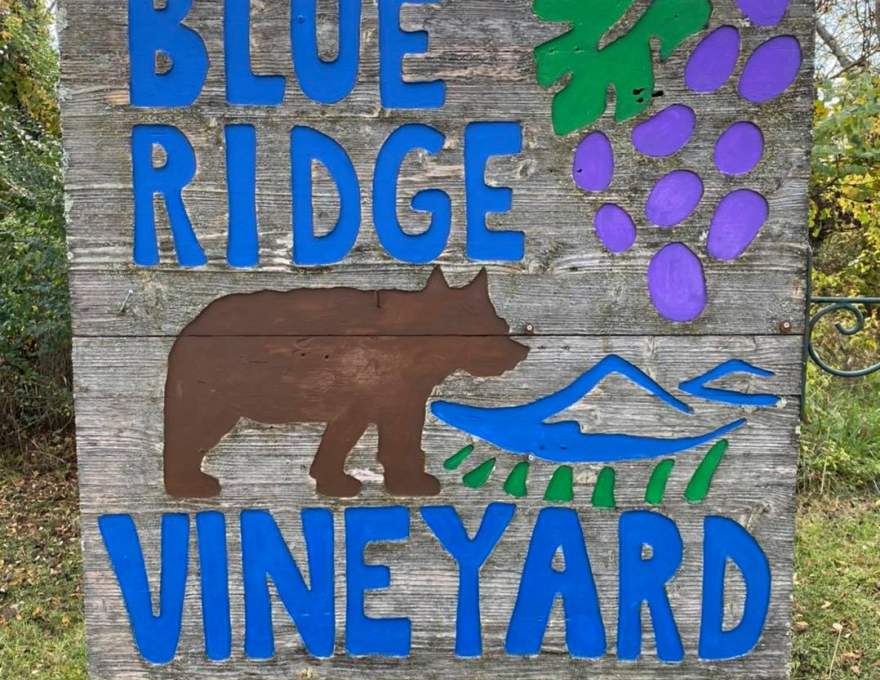 Blue Ridge Vineyard | WineMaps